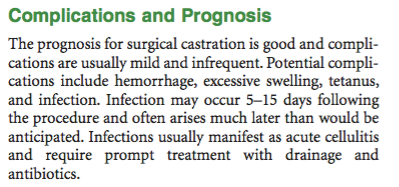 VET 2018 LAS Group E Lab 9 Bovine Castration